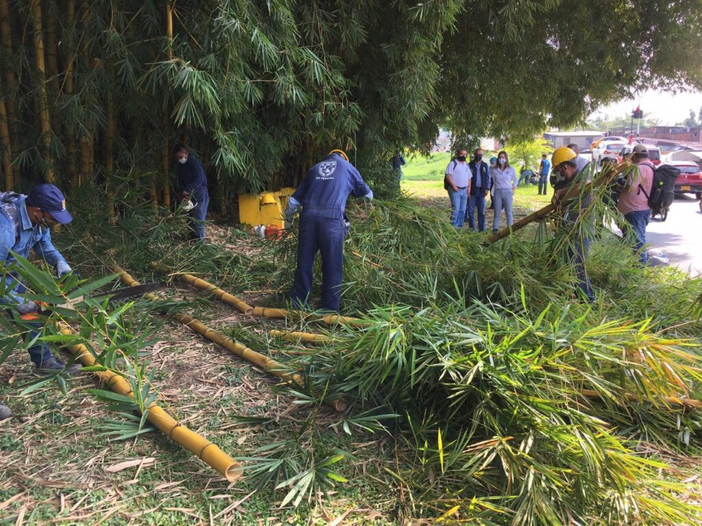Inició el programa «Lloran los guaduales» – Tardeando
